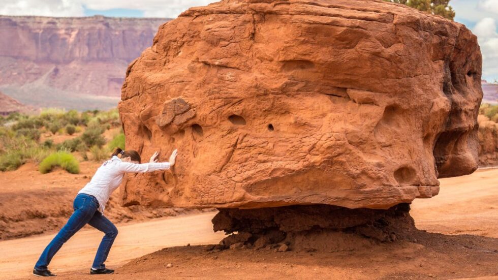 Muscle Group of the Week: Triceps | Moyer Total Wellness