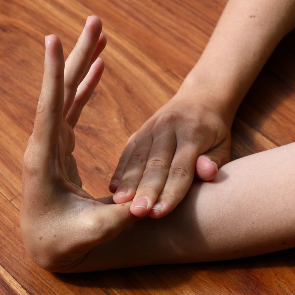 Muscle Group of the Week: Anterior Forearm Compartment | Moyer Total ...