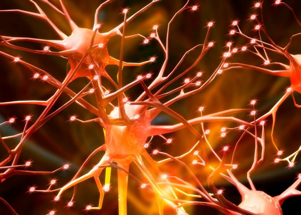 Your Sternocleidomastoid and its Trigger Points | Moyer Total Wellness