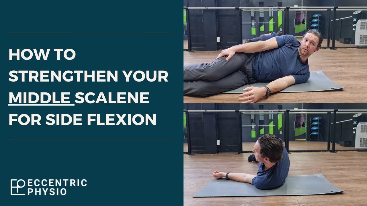 Muscle Group of the Week: Scalenes | Moyer Total Wellness